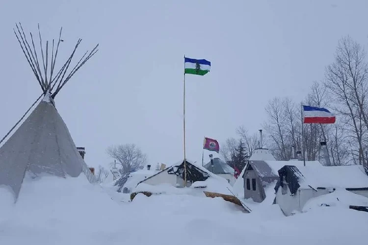Our Flag — Cascadia Department of Bioregion