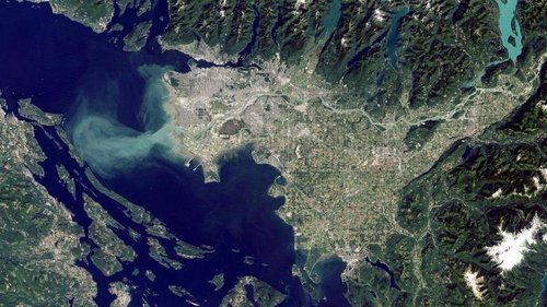 Cascadia Department of Bioregion
