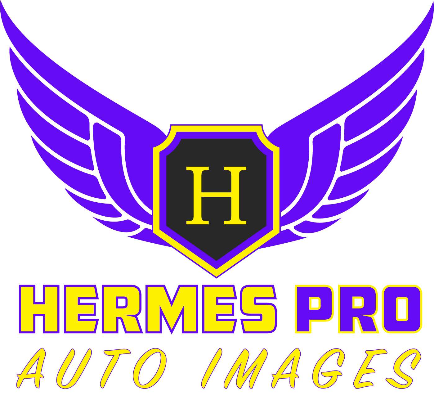 HERMES PRO AUTO IMAGES