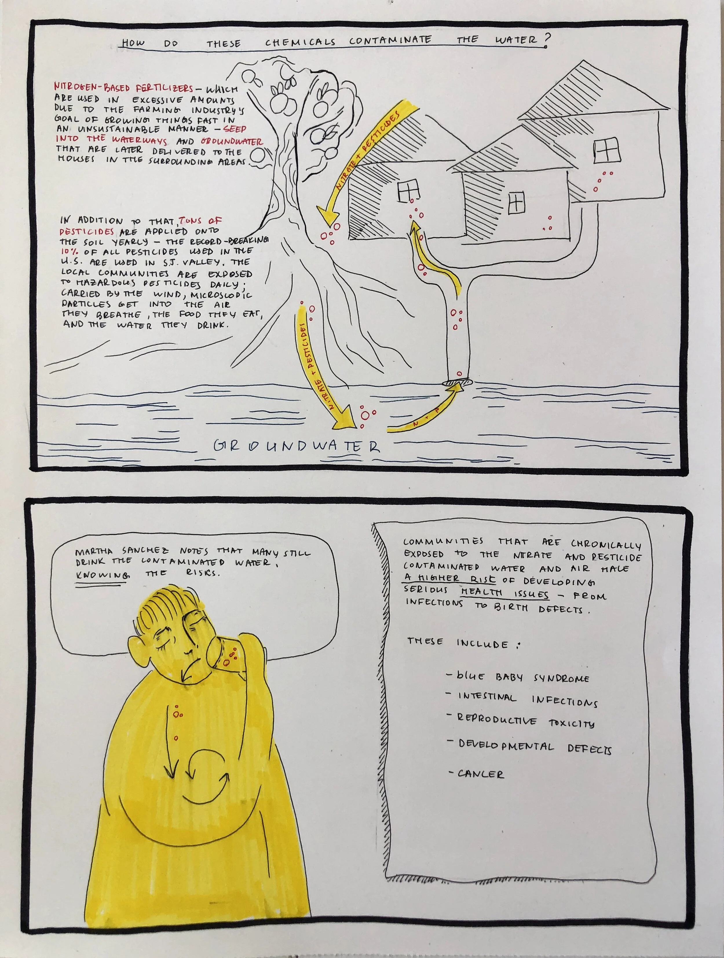 2020 Graphic Short Stories — Rising Earth: Human Impact Education