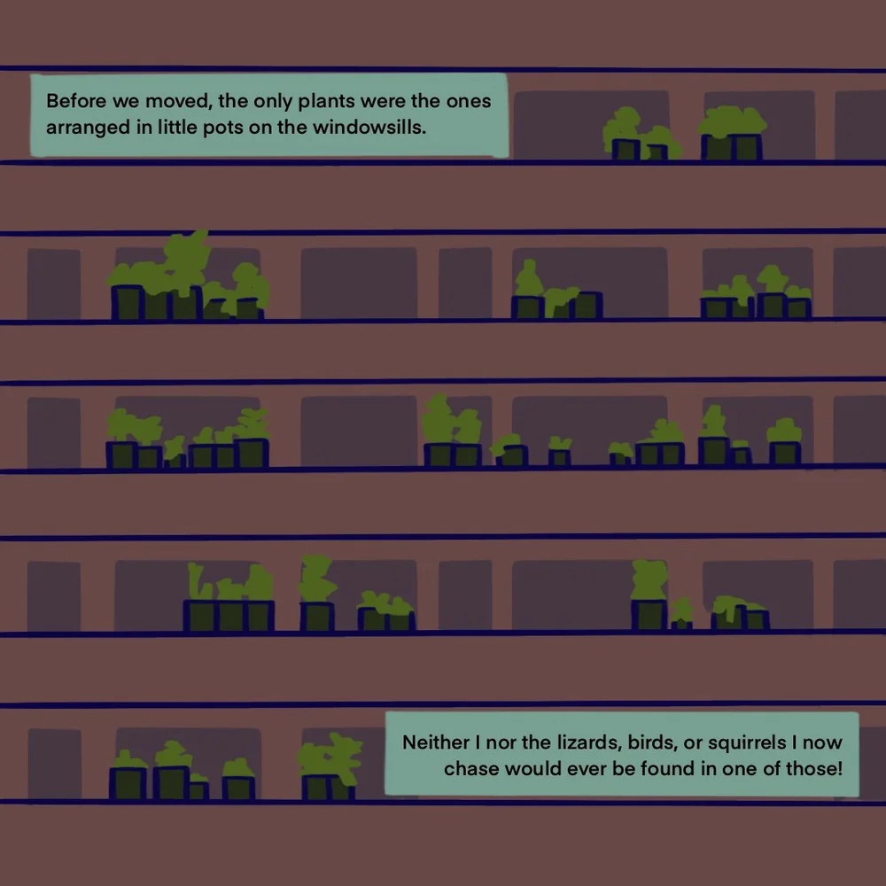 2023 Graphic Short Stories — Rising Earth: Human Impact Education
