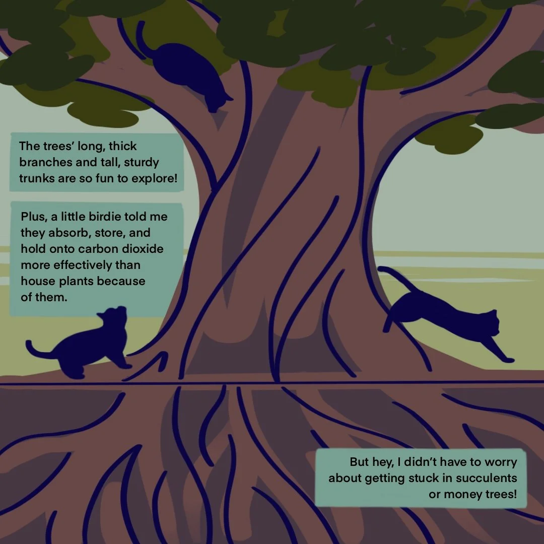 2023 Graphic Short Stories — Rising Earth: Human Impact Education