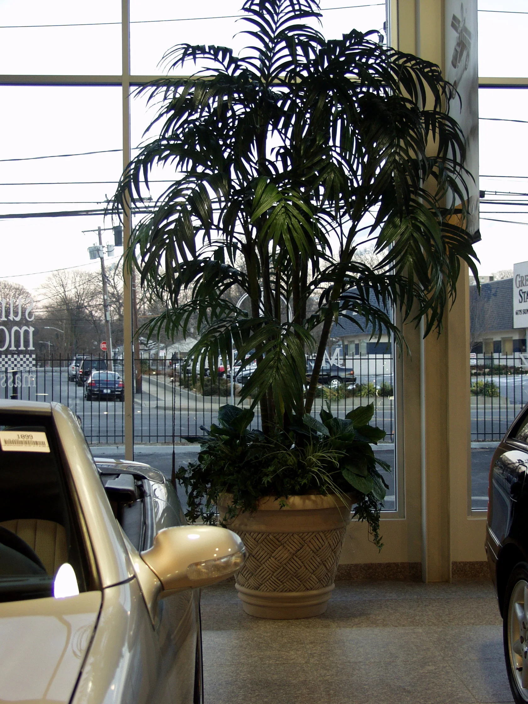 Large Artificial Trees for Indoor and Outdoor — SILK TREES