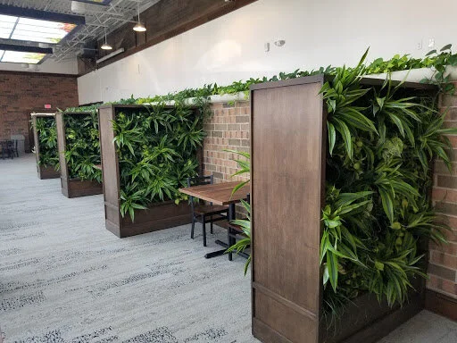 Living Wall Plantscapes (stock google images) — SILK TREES