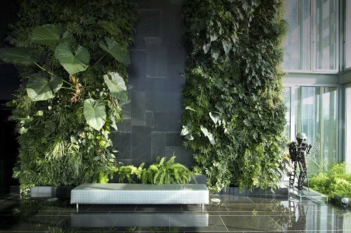 Living Wall Plantscapes (stock google images) — SILK TREES