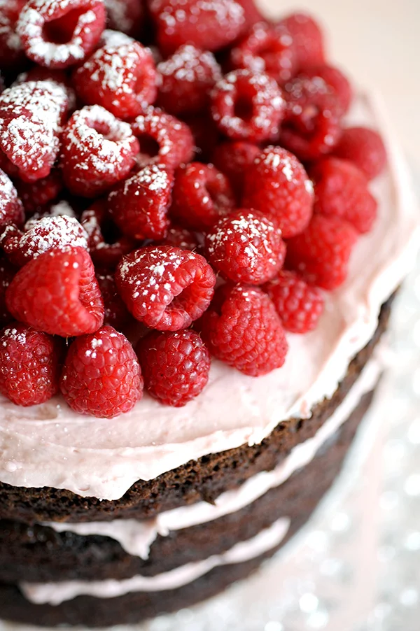 Chocolate Raspberry Cake for a Very Special Birthday — Styling My Everyday