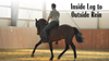 Inside Leg to Outside Rein — Ritter Dressage