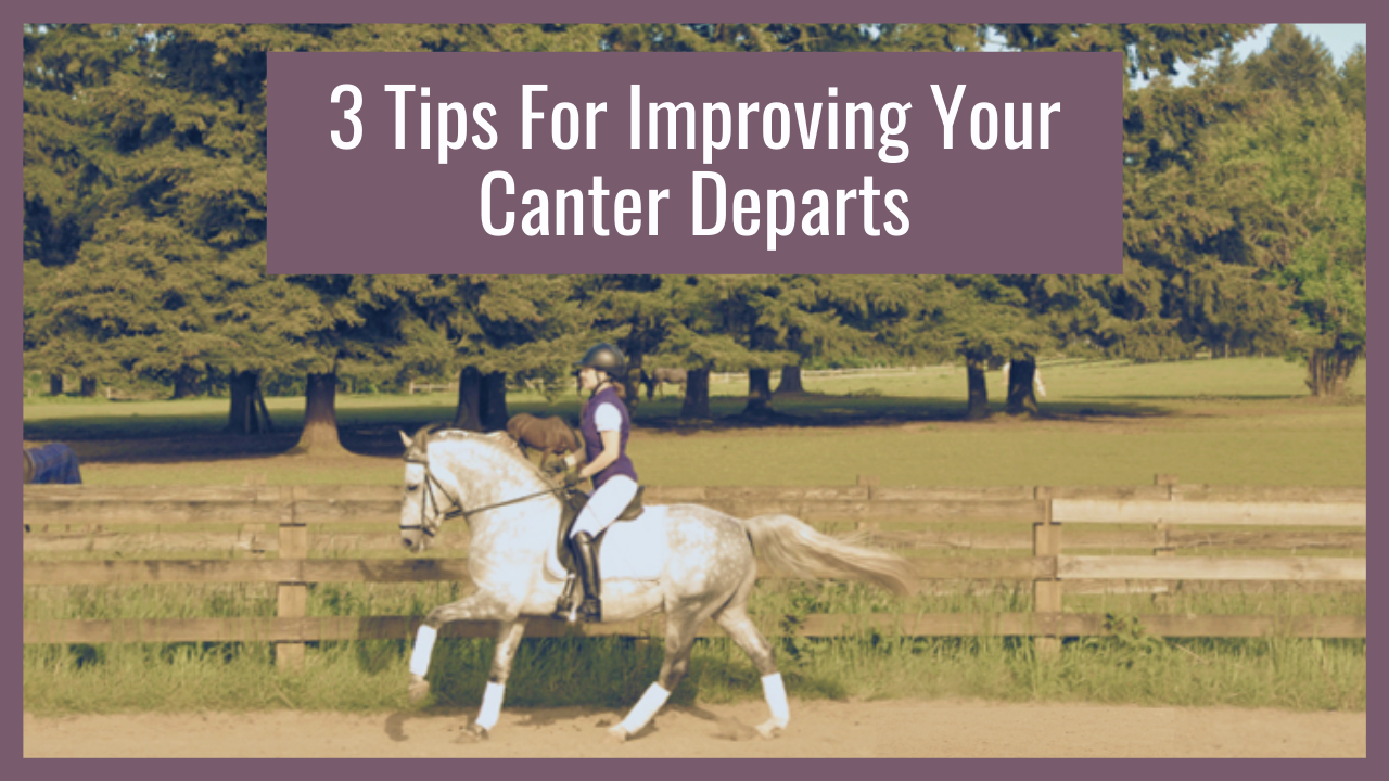 3 Tips For Improving Your Canter Departs — Ritter Dressage