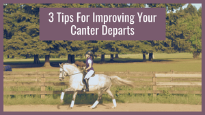 3 Tips For Improving Your Canter Departs — Ritter Dressage
