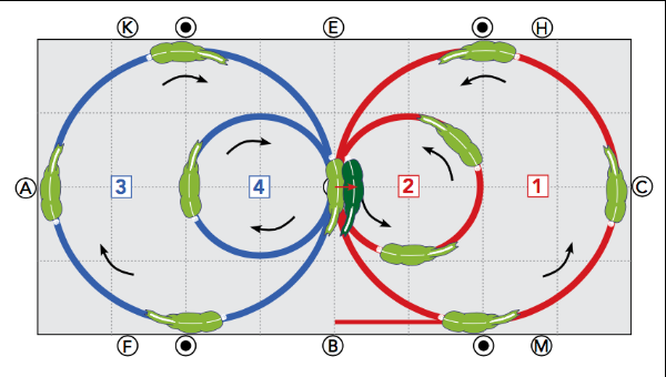 2 Exercises To Improve Your Canter Departs — Ritter Dressage