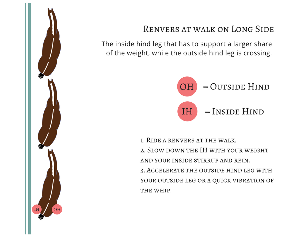 The 3 Main Paths to Piaffe — Ritter Dressage