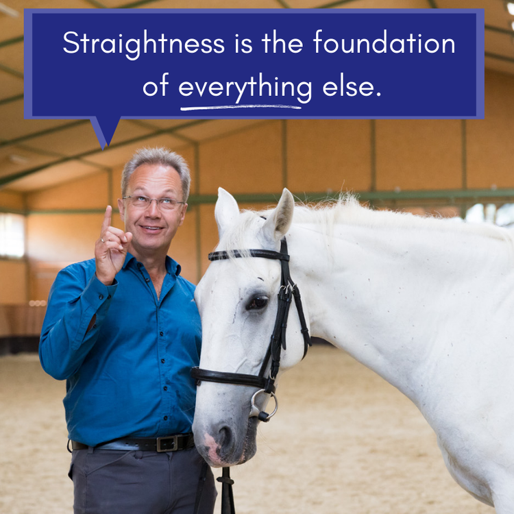 Why bother straightening your horse — Ritter Dressage