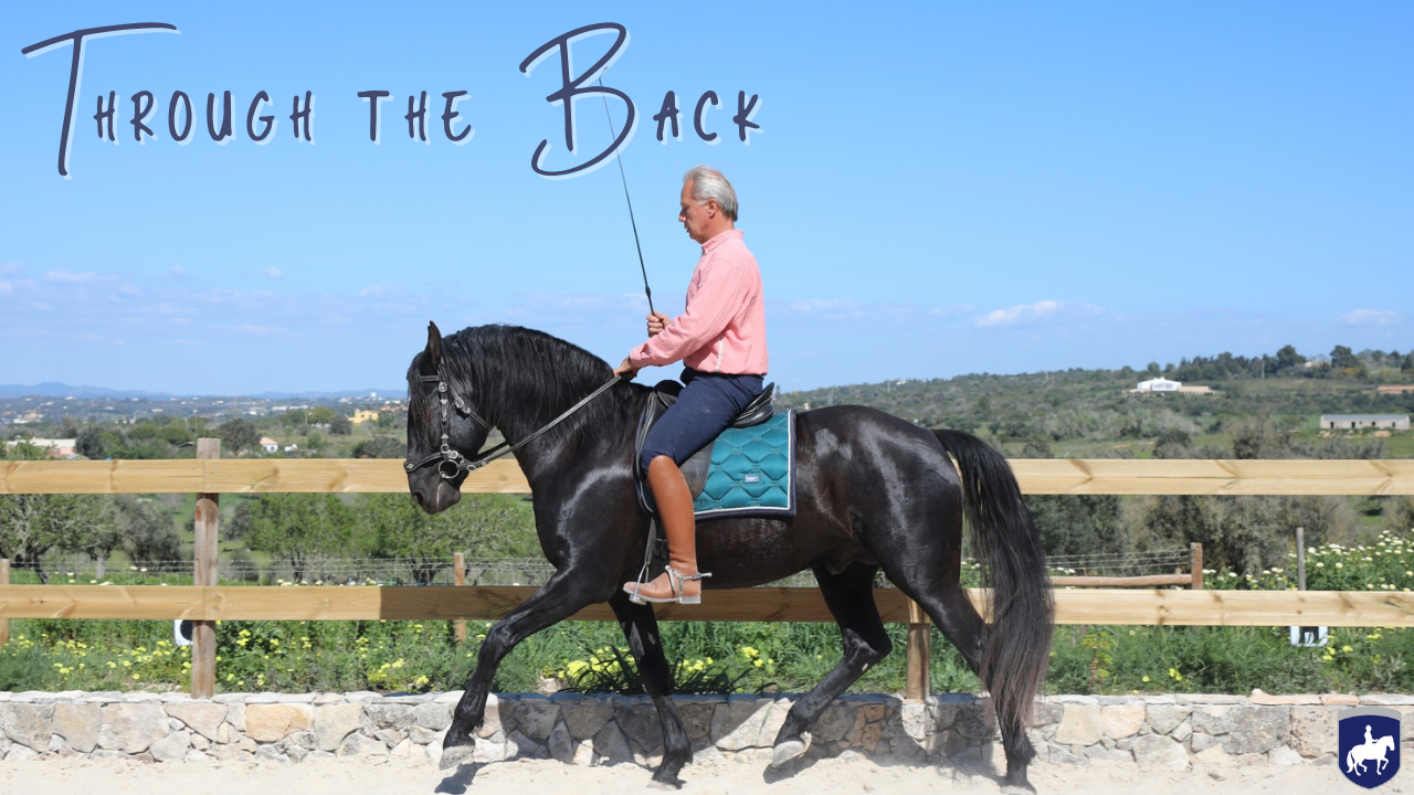 Help your horse work through the back — Ritter Dressage