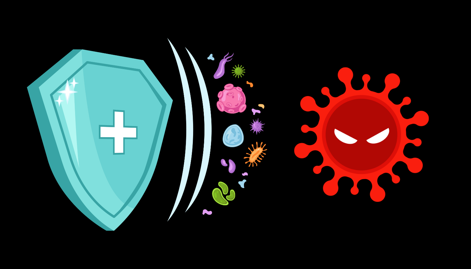 Mold, Mast Cells, and Gut Health: Uncovering the Hidden Triggers of ...