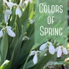 JRL Interiors — Spring Paint Colors Inspired by Nature
