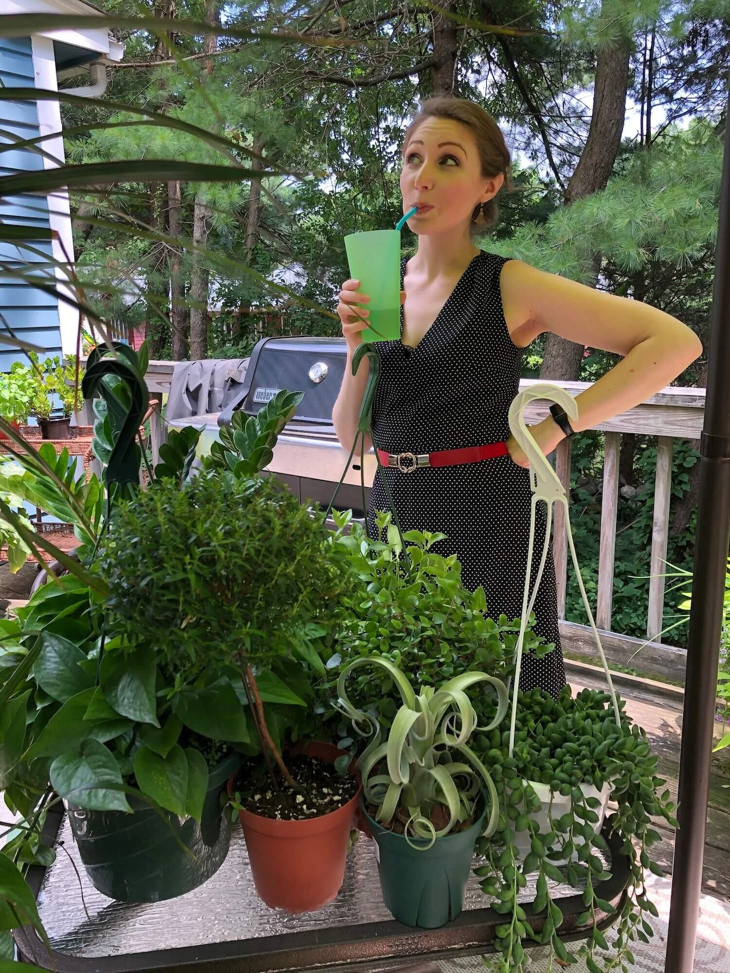 JRL Interiors — Decorating with Plants
