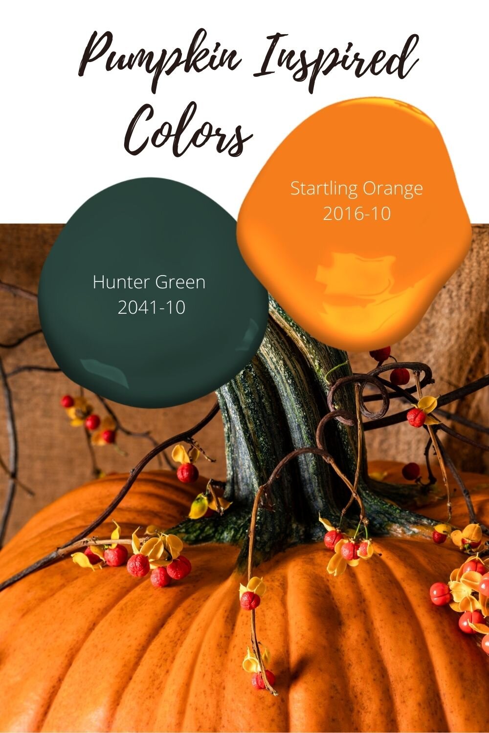 JRL Interiors — Decorating with Fall Colors Inspired by Nature