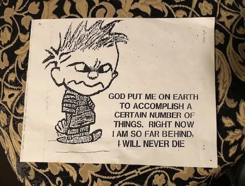 Calvin And Hobbes Quotes God Put Me On This Earth