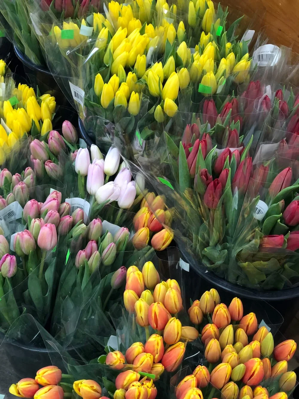 JRL Interiors — Home Decor Colors for Spring