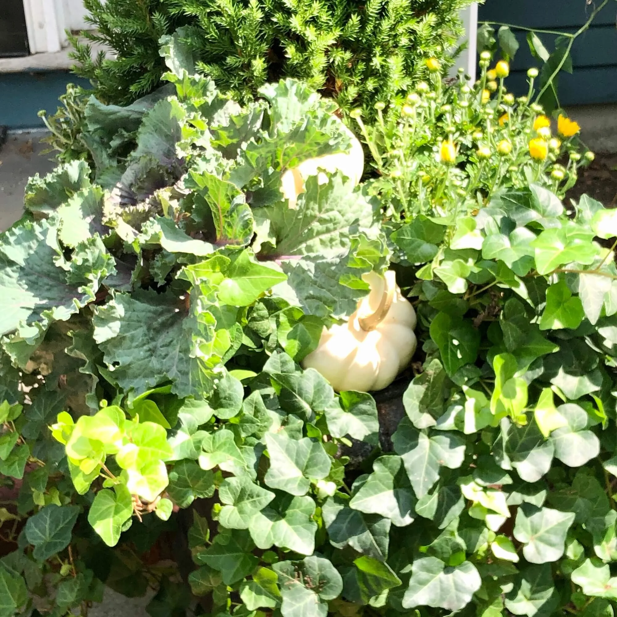 JRL Interiors — Transitioning seasonal decor from summer to fall