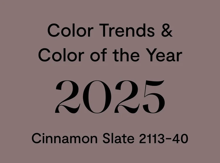 JRL Interiors — Benjamin Moore Color of the Year 2025 Cinnamon Slate