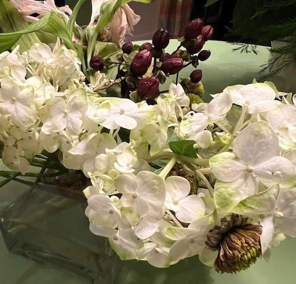 JRL Interiors — How to revive wilted cut hydrangeas