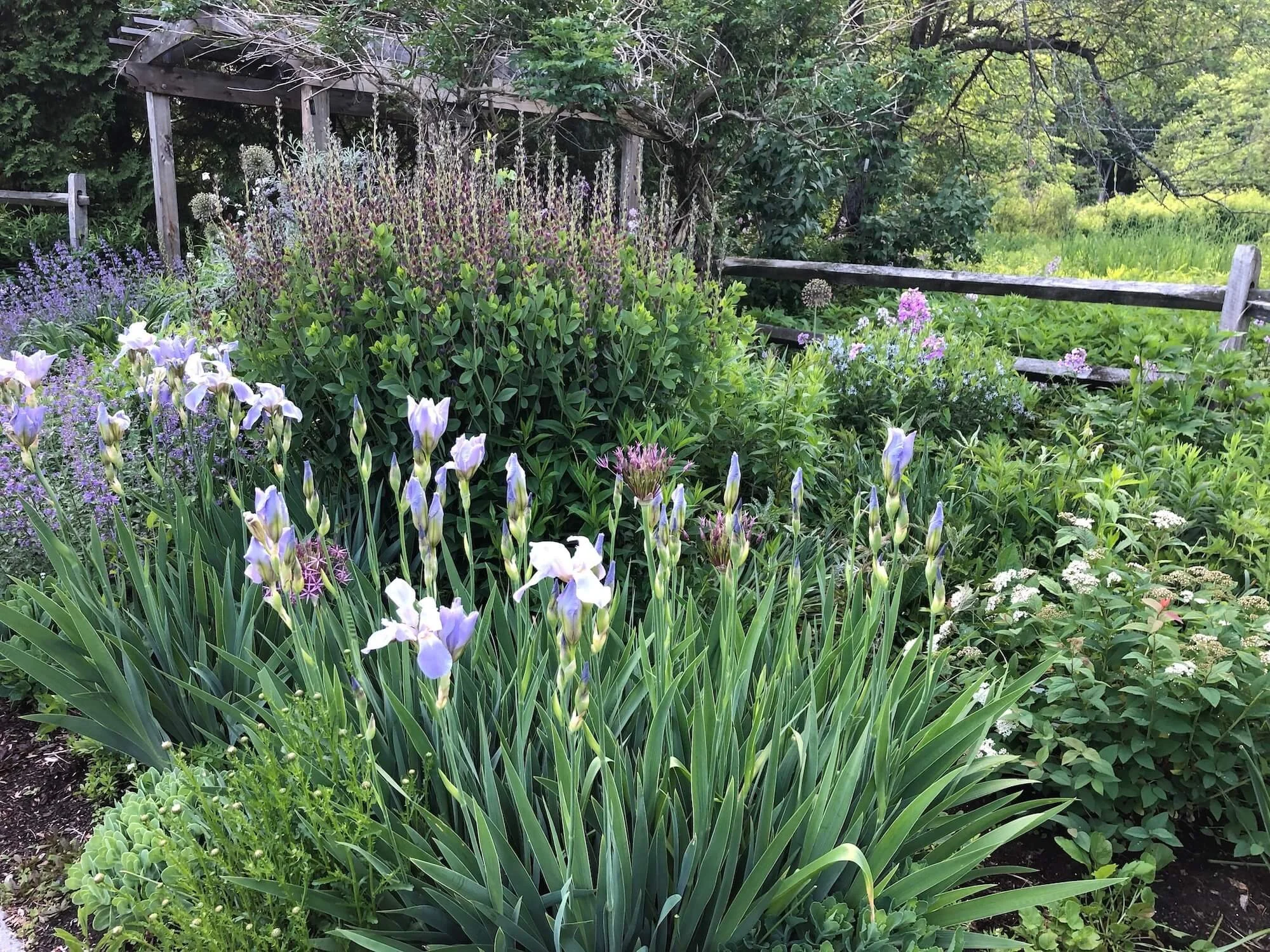 JRL Interiors — Color Inspiration to Celebrate Spring