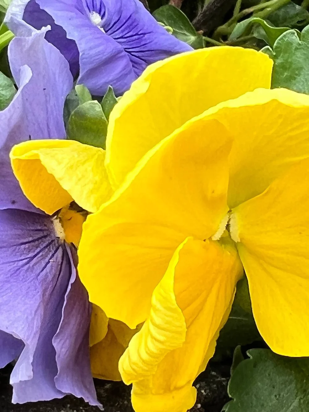 JRL Interiors — Spring Door Decor and Tablesettings for a Celebration