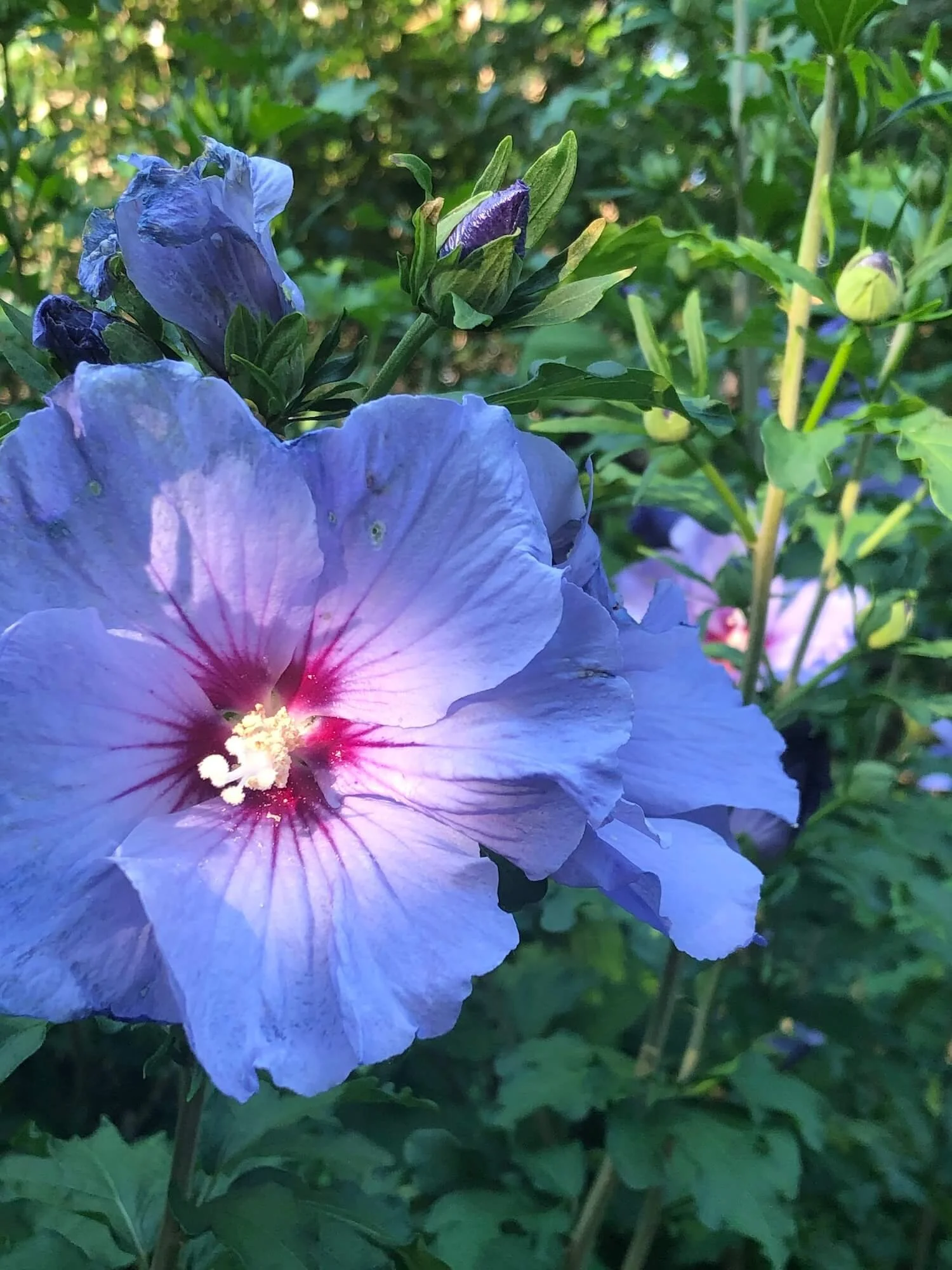 JRL Interiors — Pantone Color of the Year 2022: Very Peri