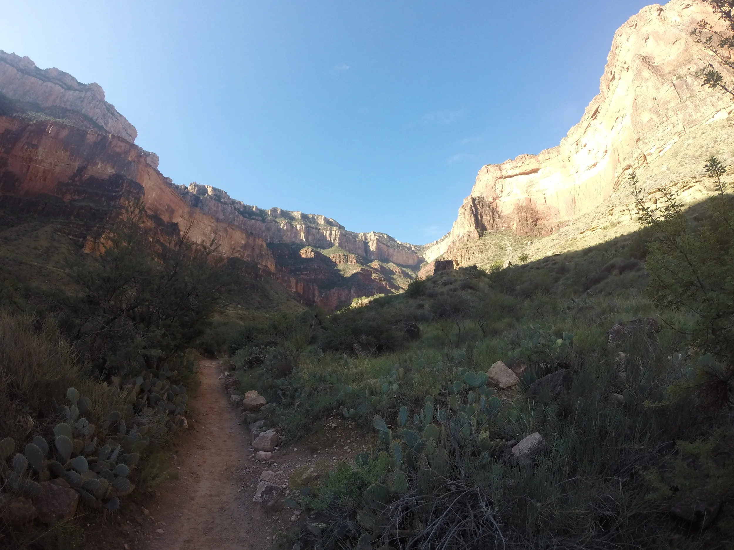 Top 5 Hikes in the Phoenix, Arizona Region — Hashtag 59