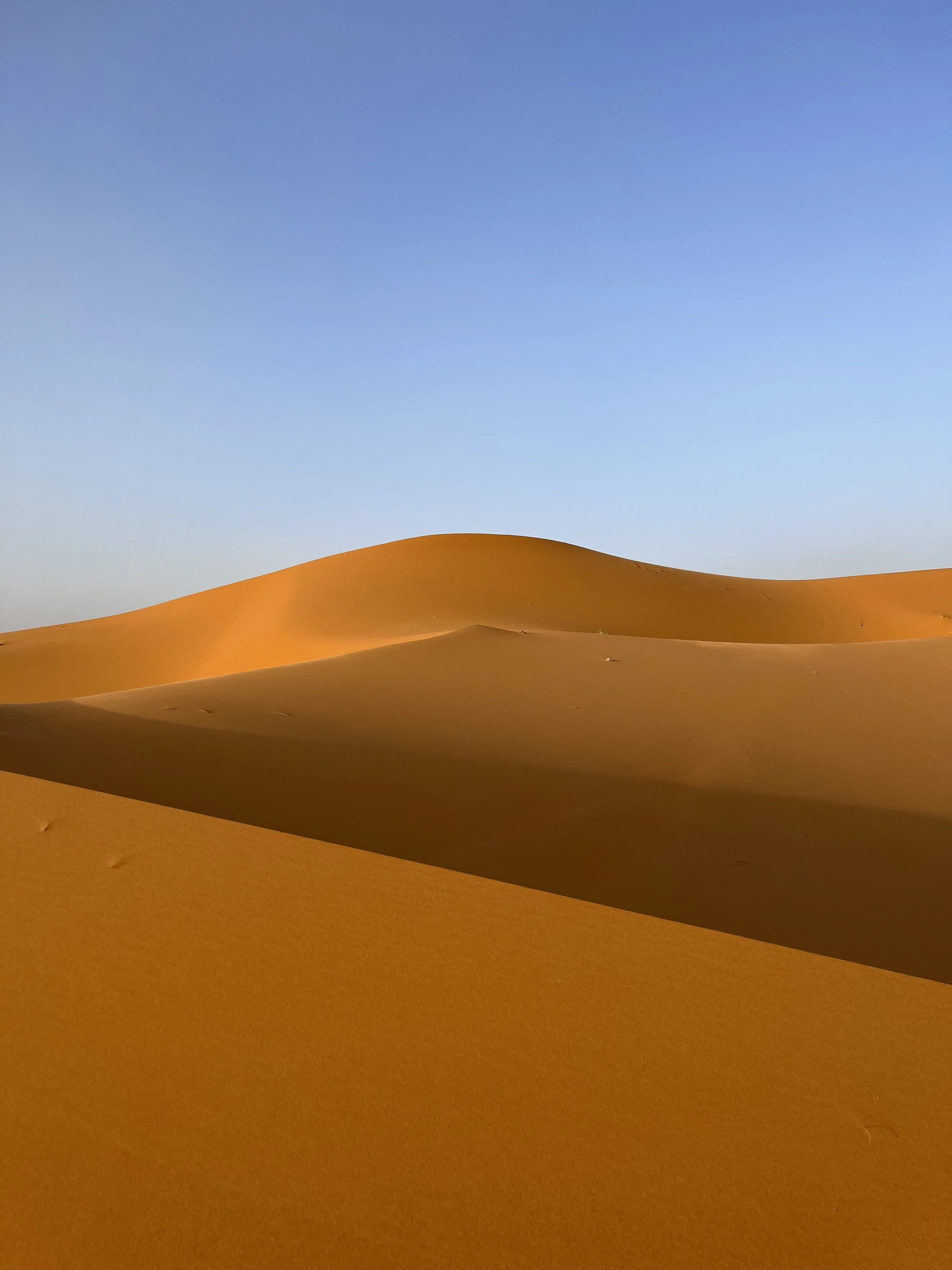 Sahara Desert People Food