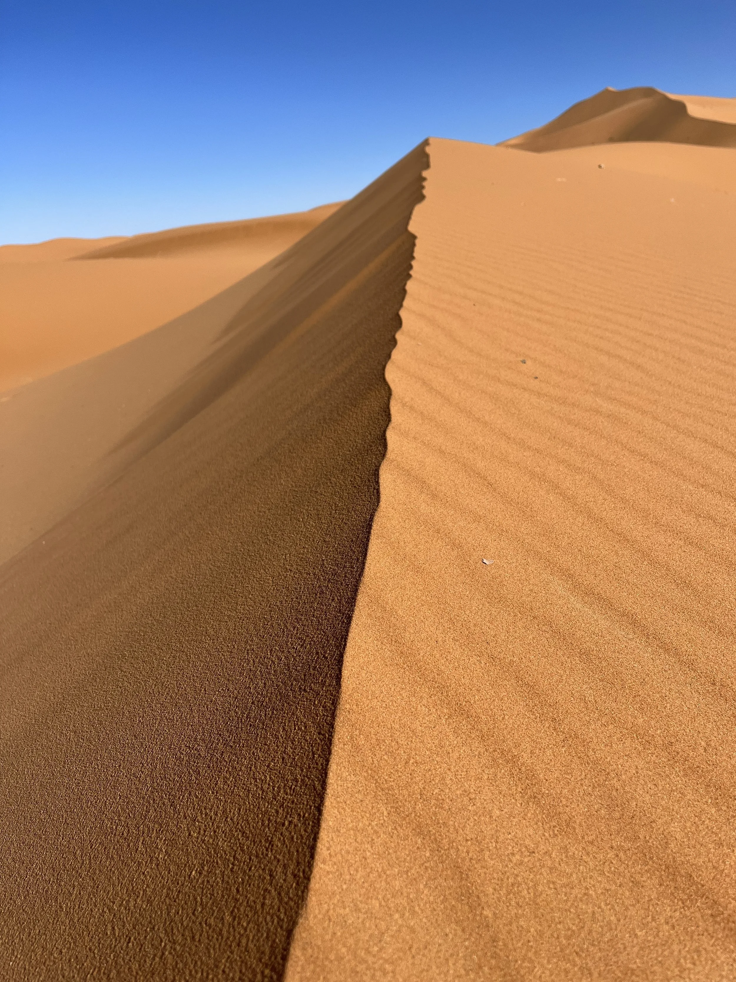 Hashtag59: Your Outdoor Adventure Headquarters.