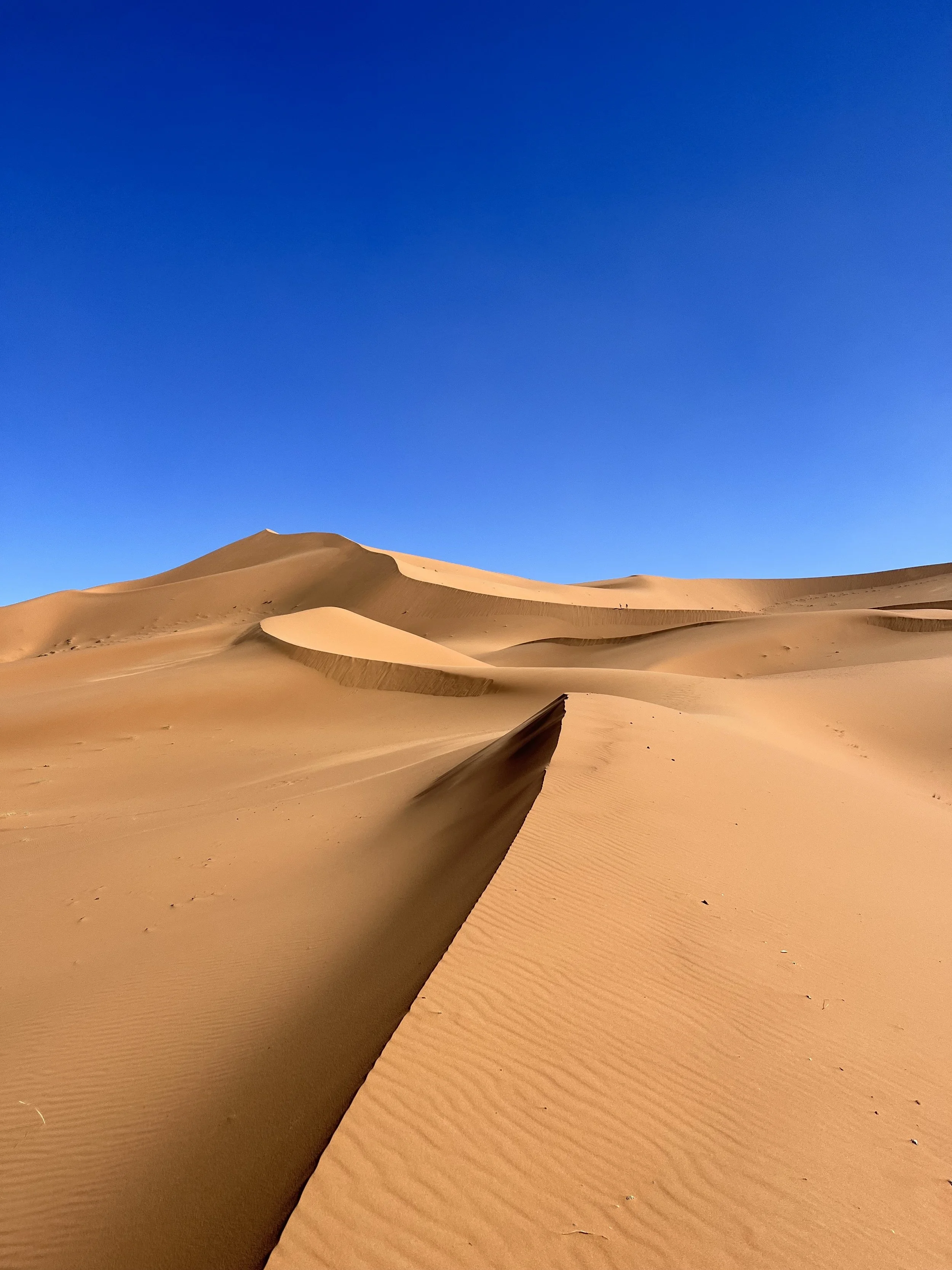 Morocco Day Hikes: The Sahara Desert — Hashtag 59