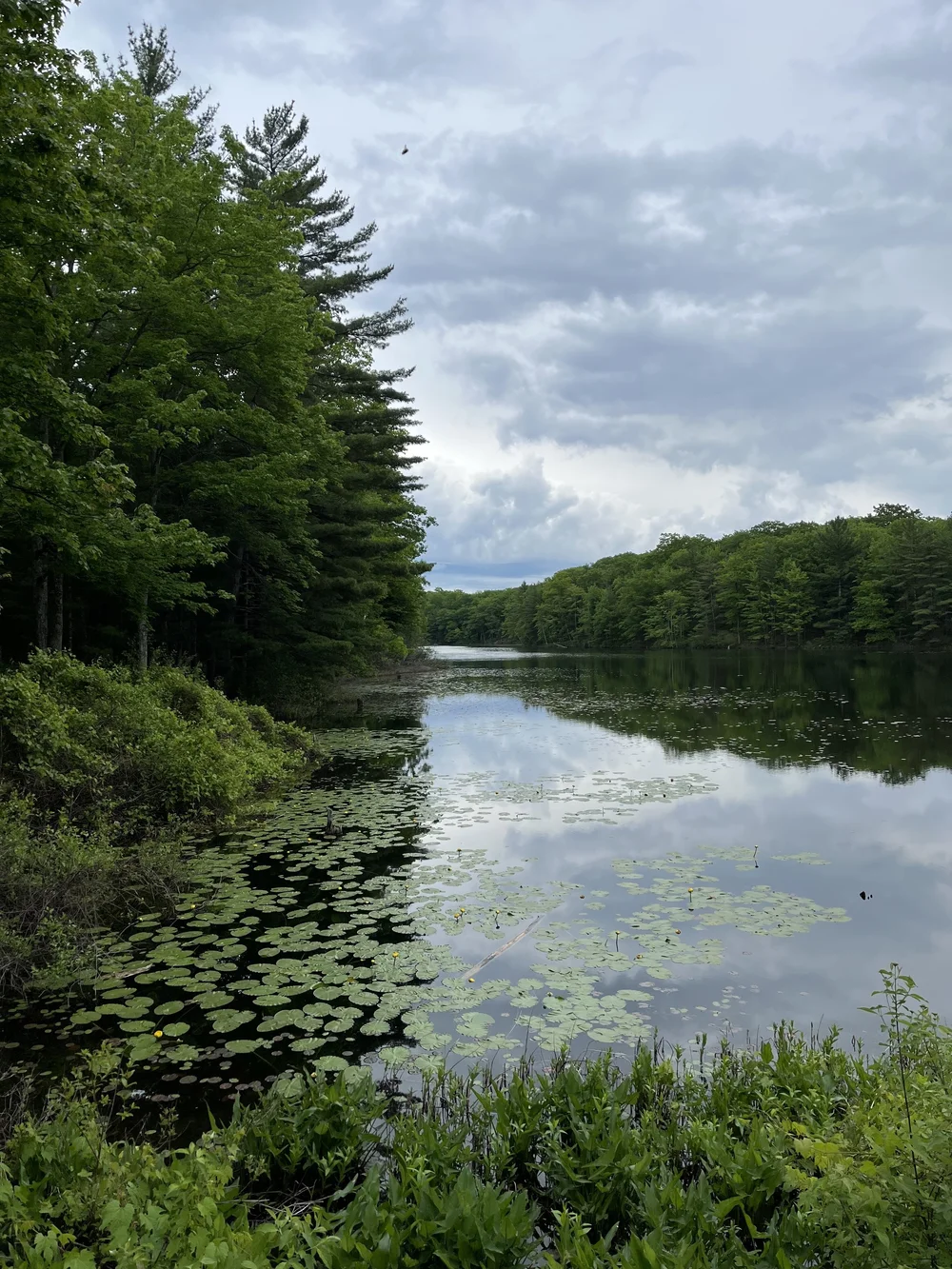 Hashtag59: Your Outdoor Adventure Headquarters.