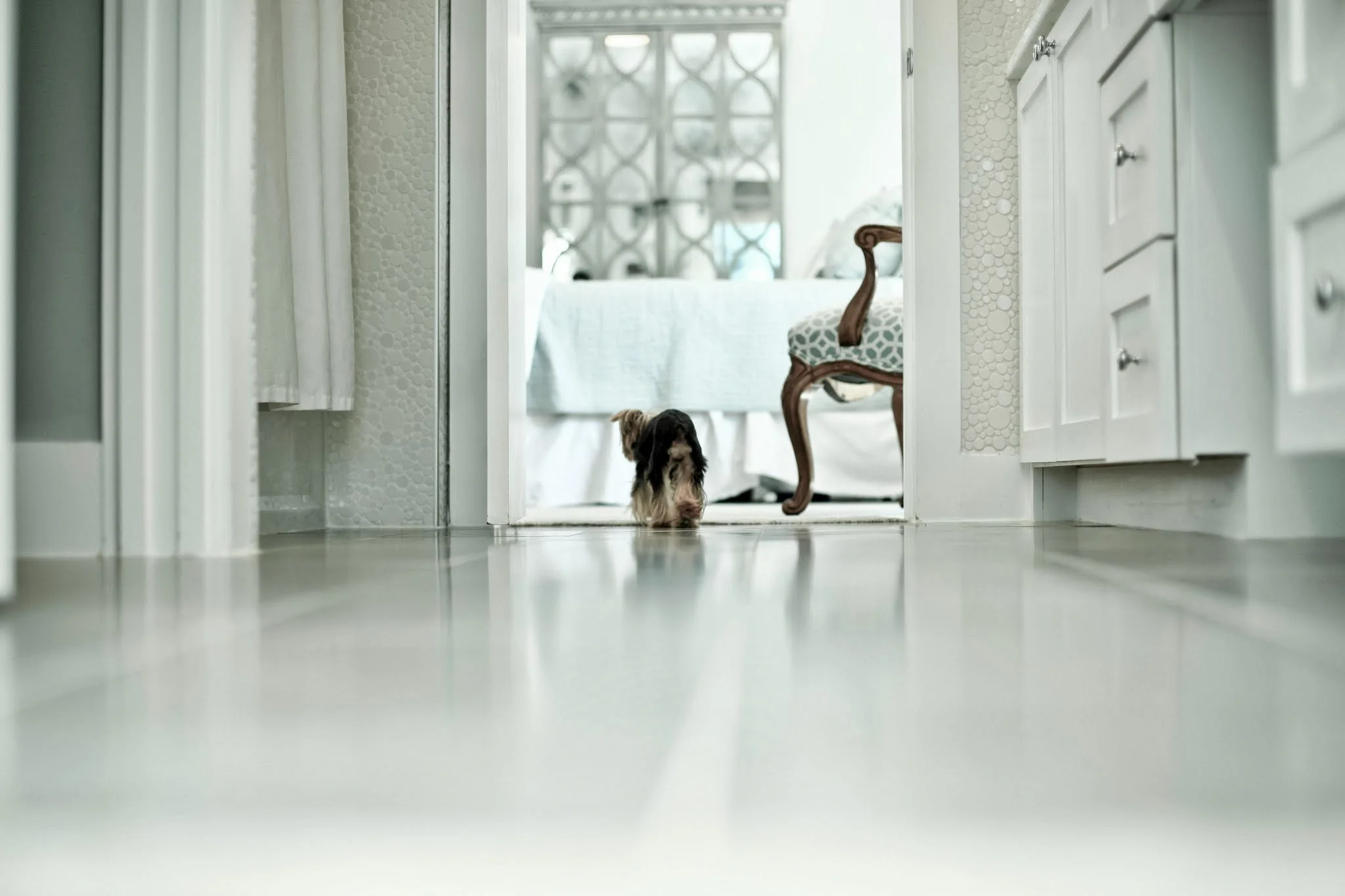 Interiors — ROOT design company