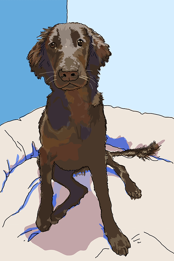 Commissioned Artwork — Risa Aqua Studio