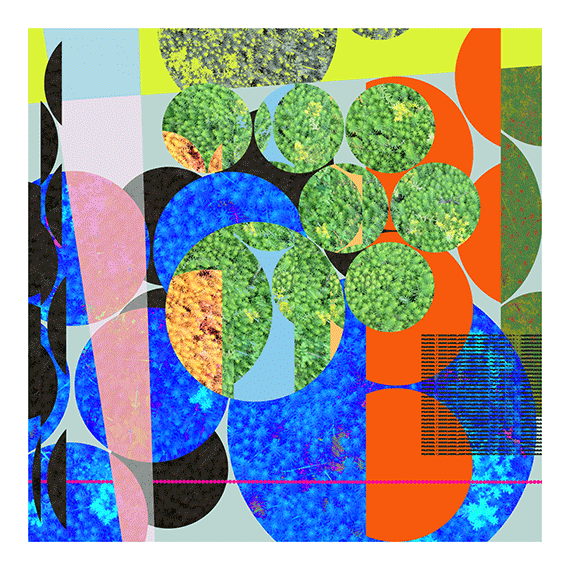 Commissioned Artwork — Risa Aqua Studio