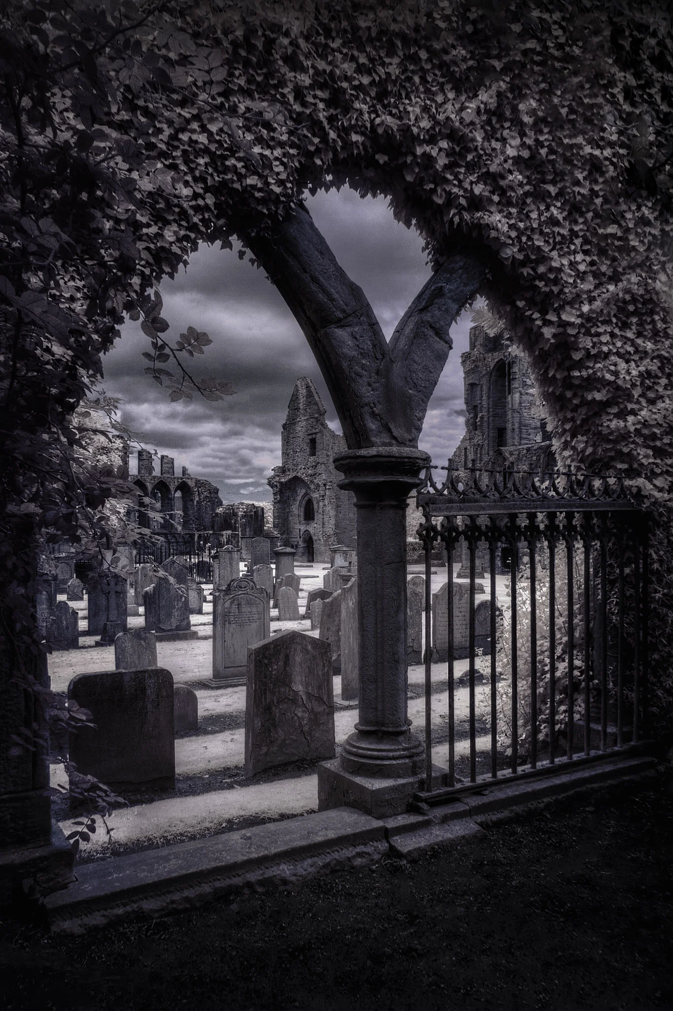 Arbroath Abbey Scotland — Medieval Travels