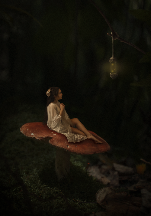 Tora Anne Imagery
