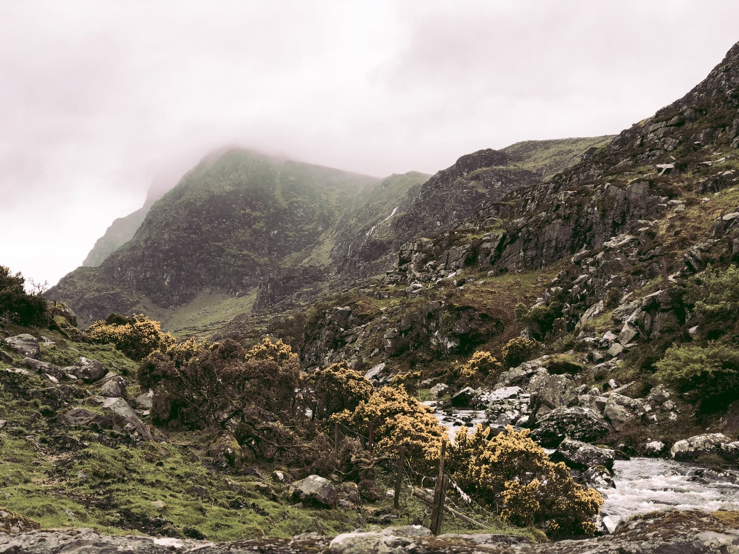 GAP OF DUNLOE — MARA GROOTENBOER