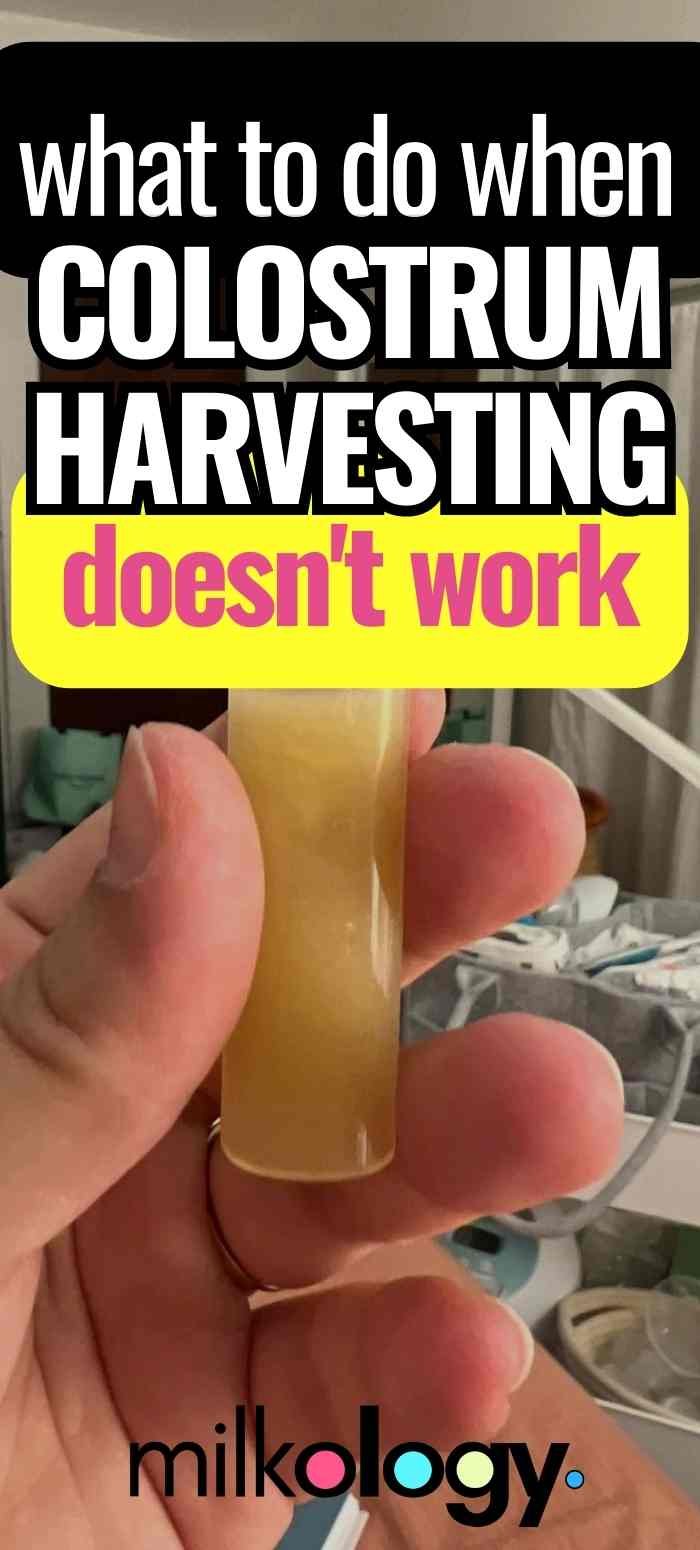 Breastfeeding Blog with Tips, Tricks, and Advice — Milkology®