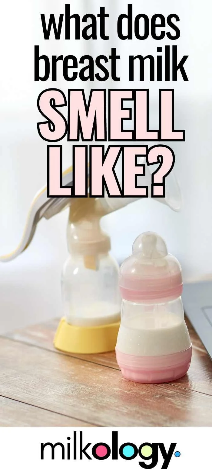 Q&A: What Does Breast Milk SMELL Like? — Milkology®