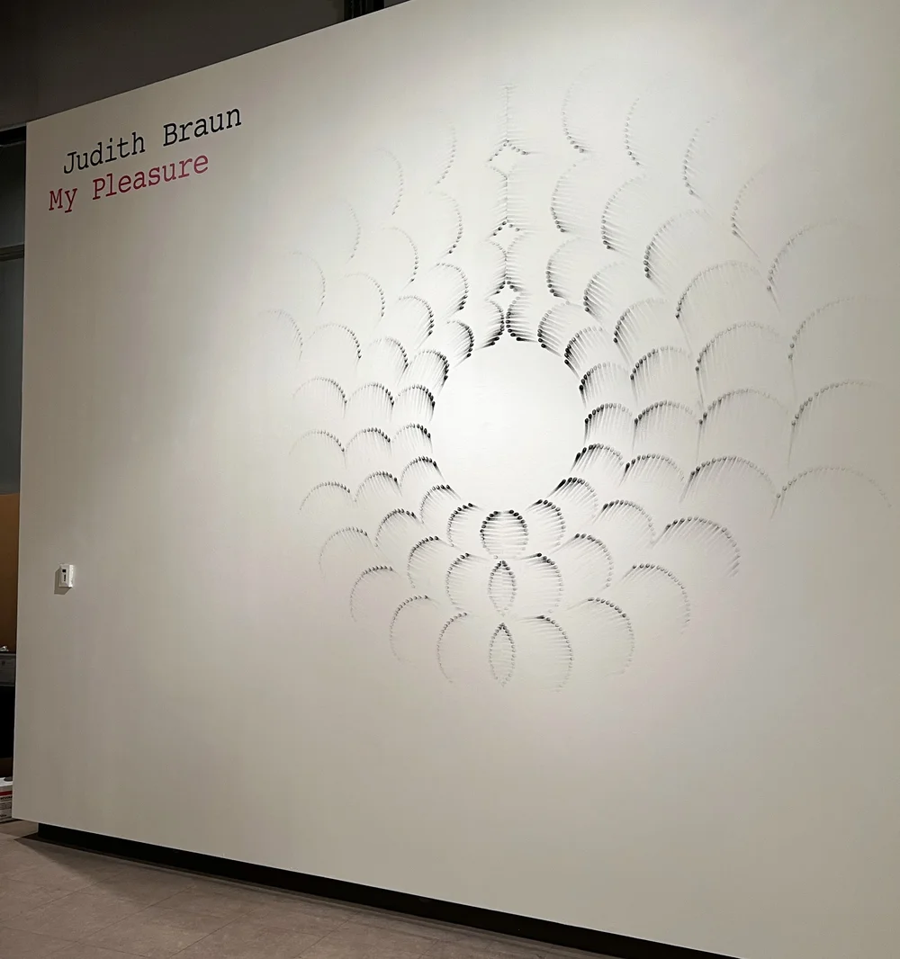 Judith Braun — Meg Hitchcock