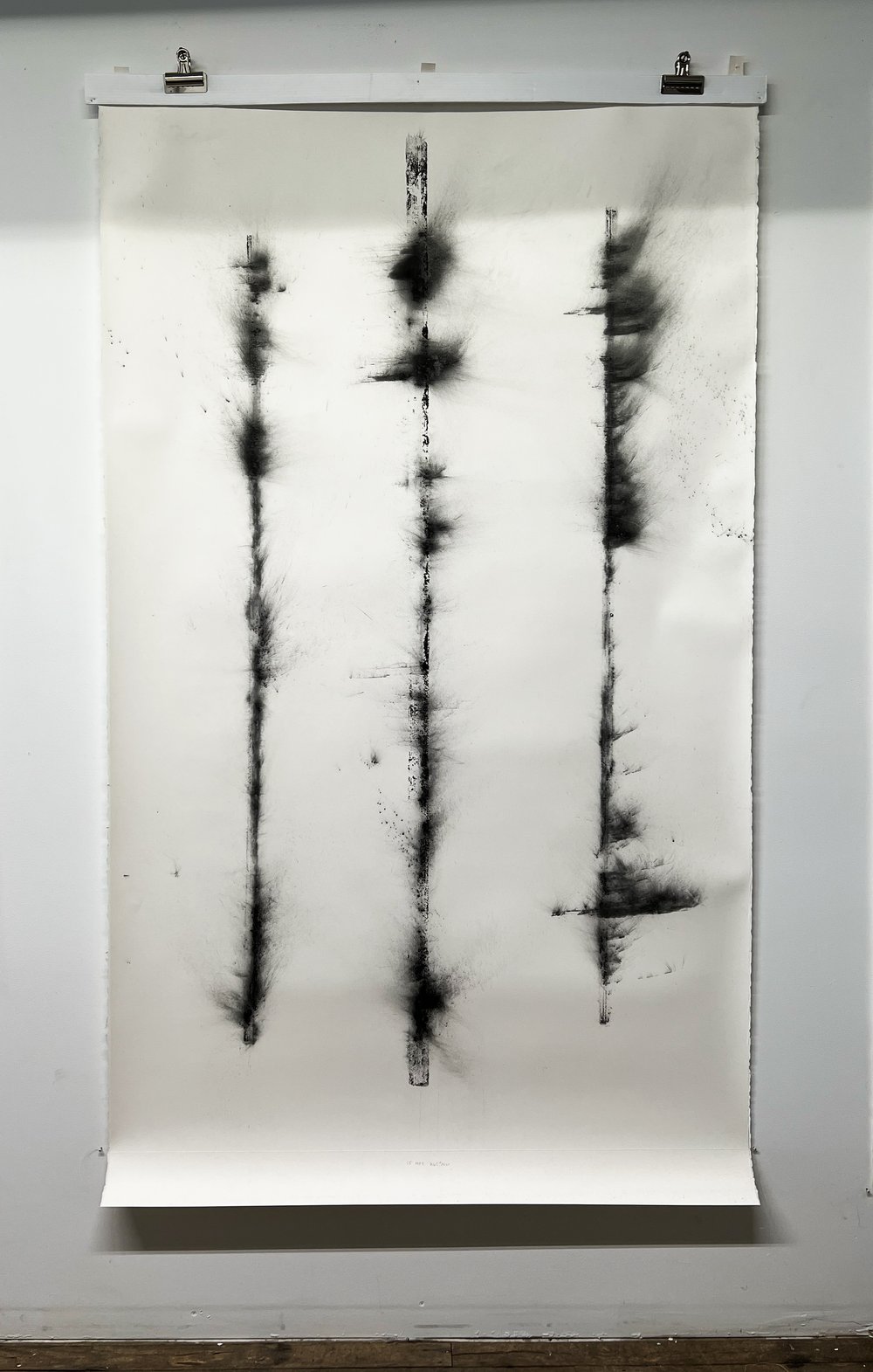 Susan Walsh — Meg Hitchcock