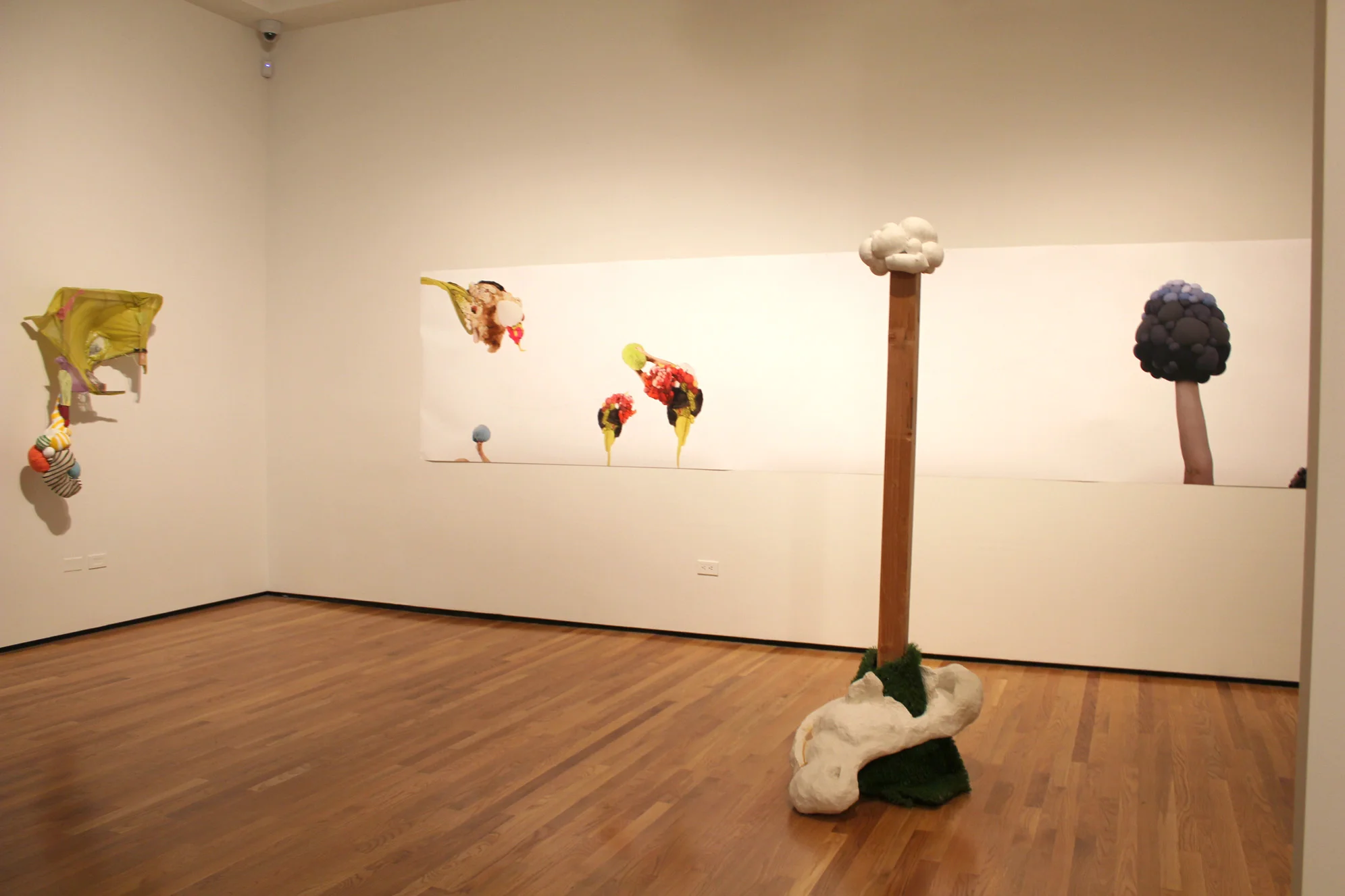 exhibitions/in-situ — Sommer Roman