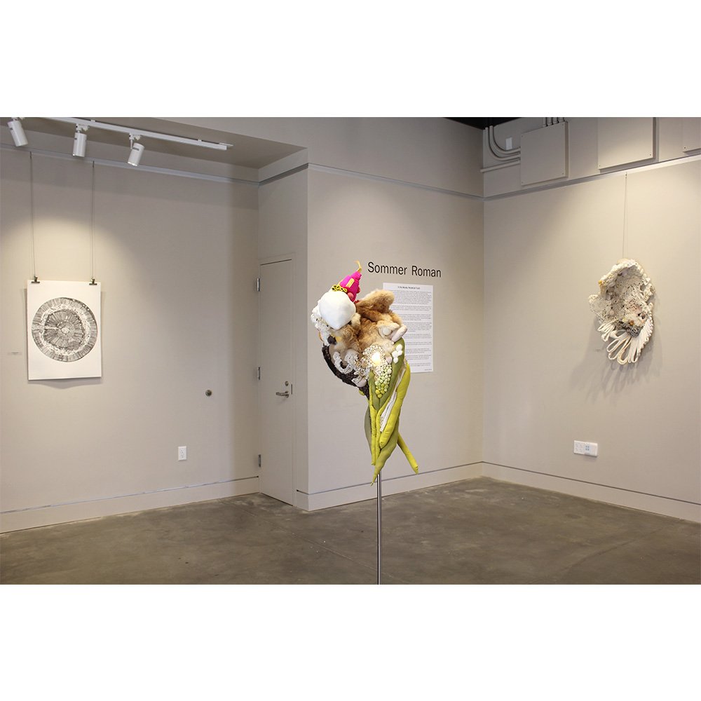 exhibitions/in-situ — Sommer Roman