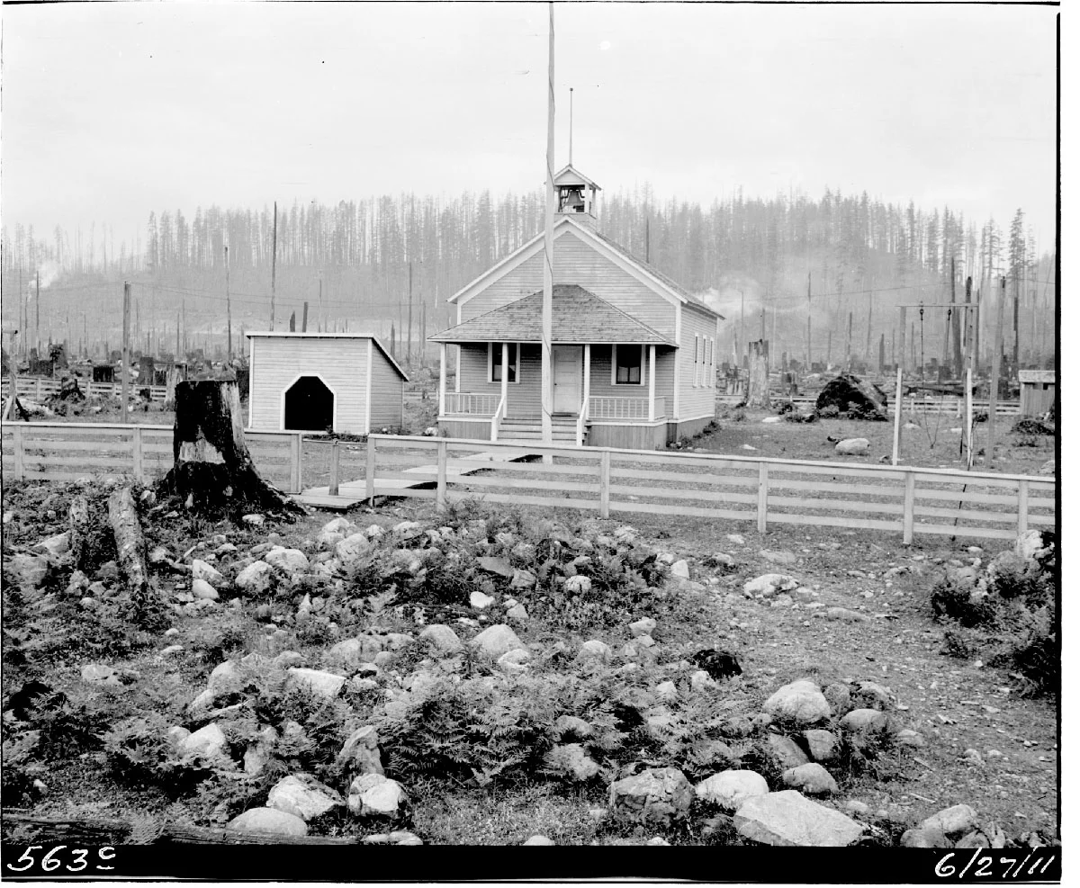 Unearthing the Past: Researchers Survey Former Lumber Town for 19th ...
