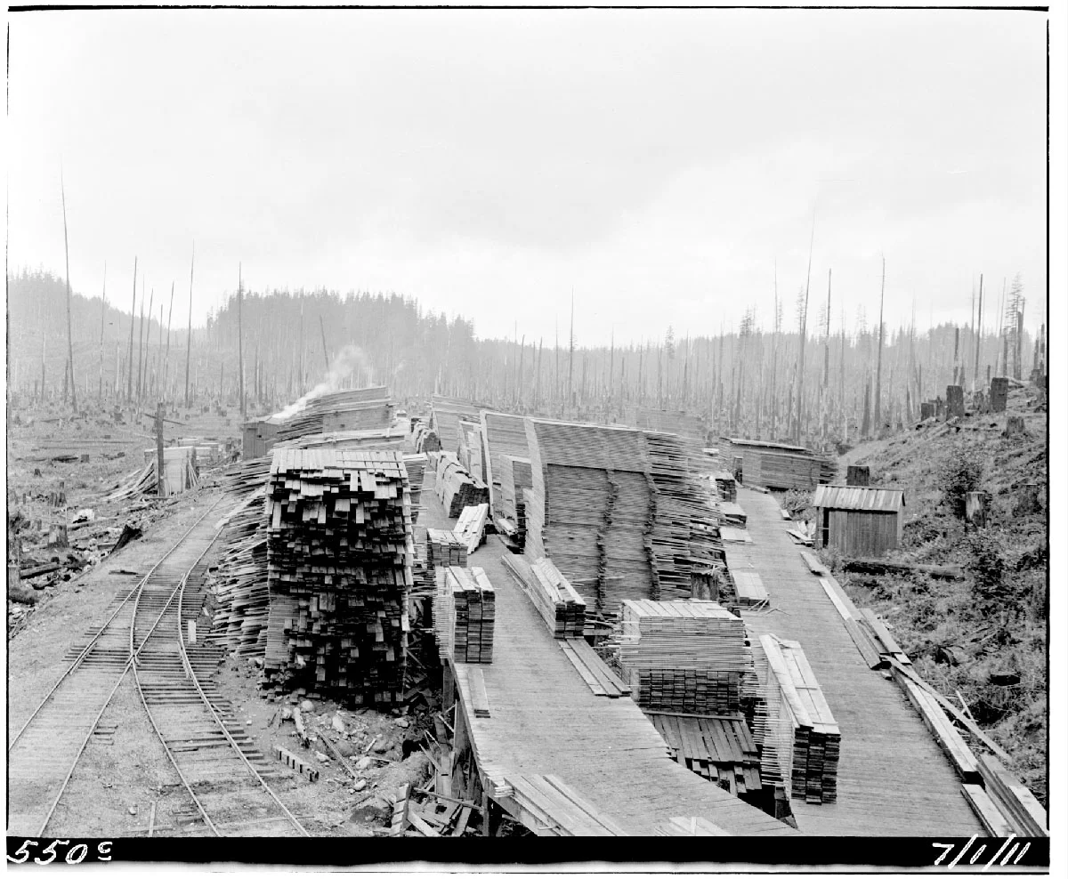 Unearthing the Past: Researchers Survey Former Lumber Town for 19th ...