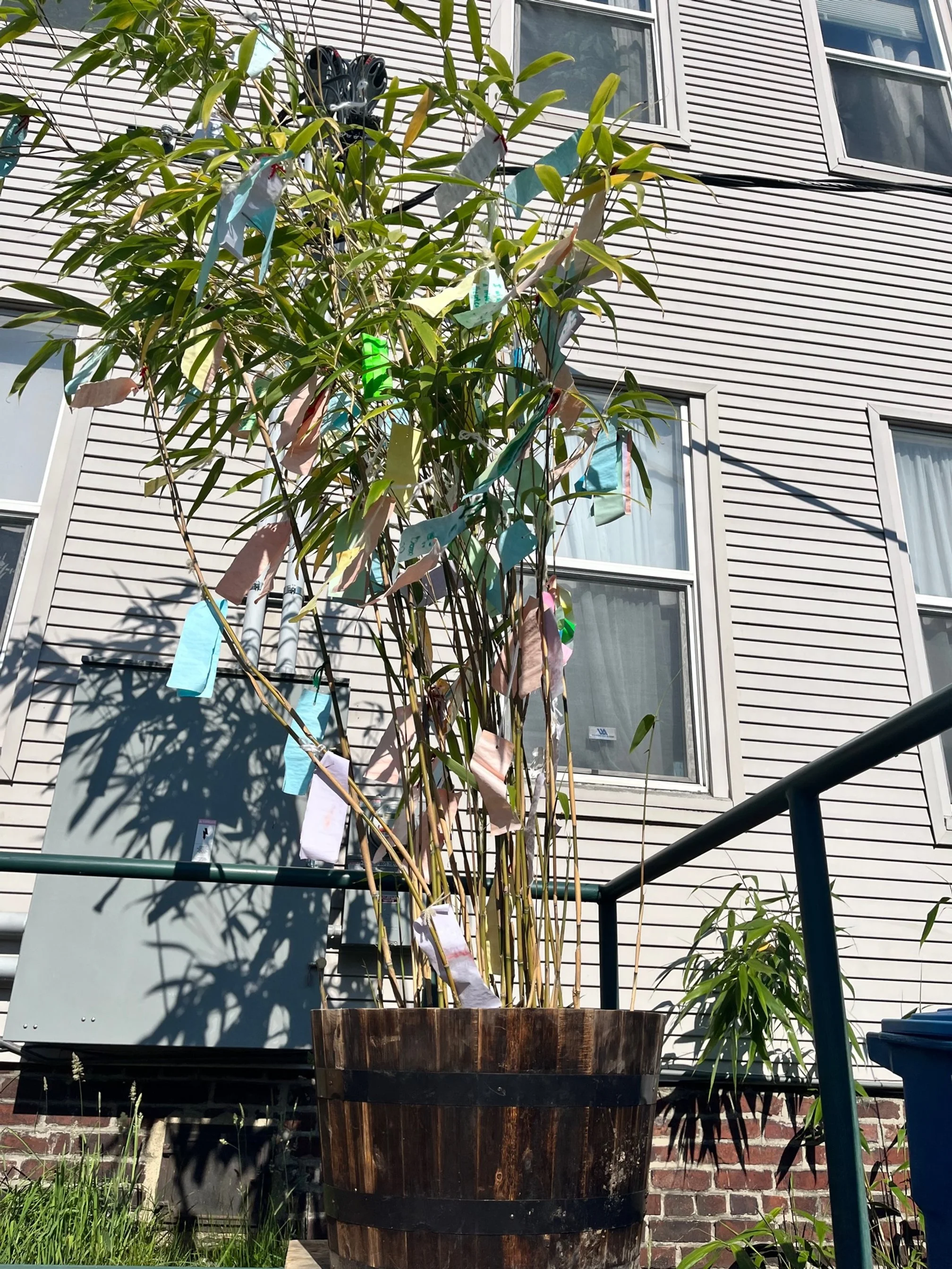 Tanabata — The Star Festival — Japanese Cultural & Community Center of ...