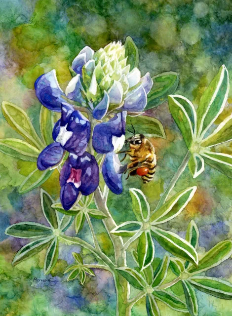 Bluebonnet Watercolor